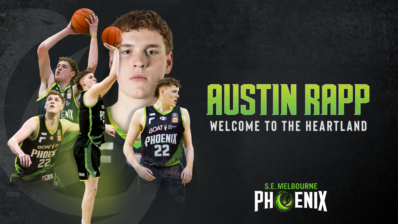 Phoenix Sign Austin Rapp as a Development Player for NBL24