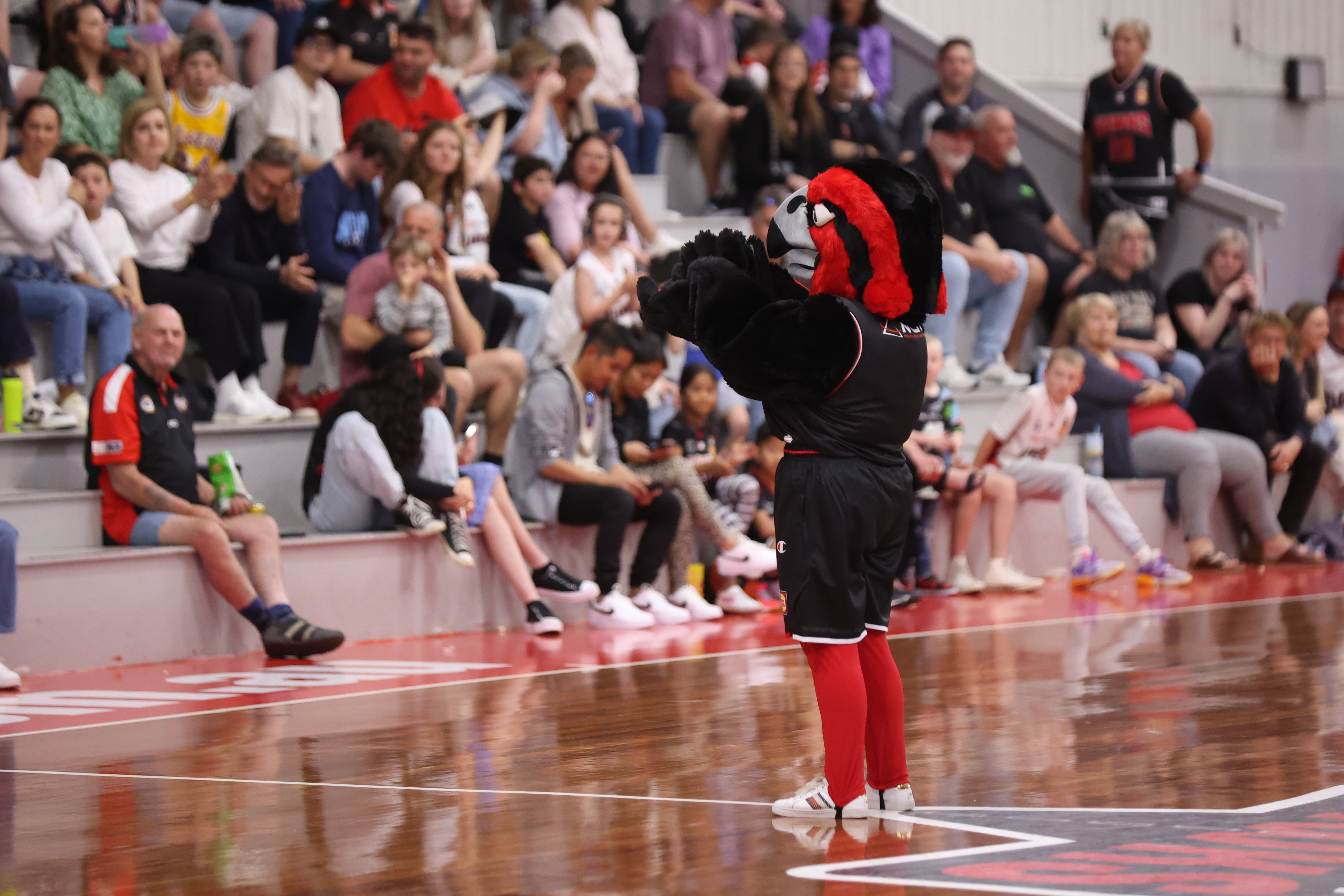 Gallery: Pre-season at the Pit