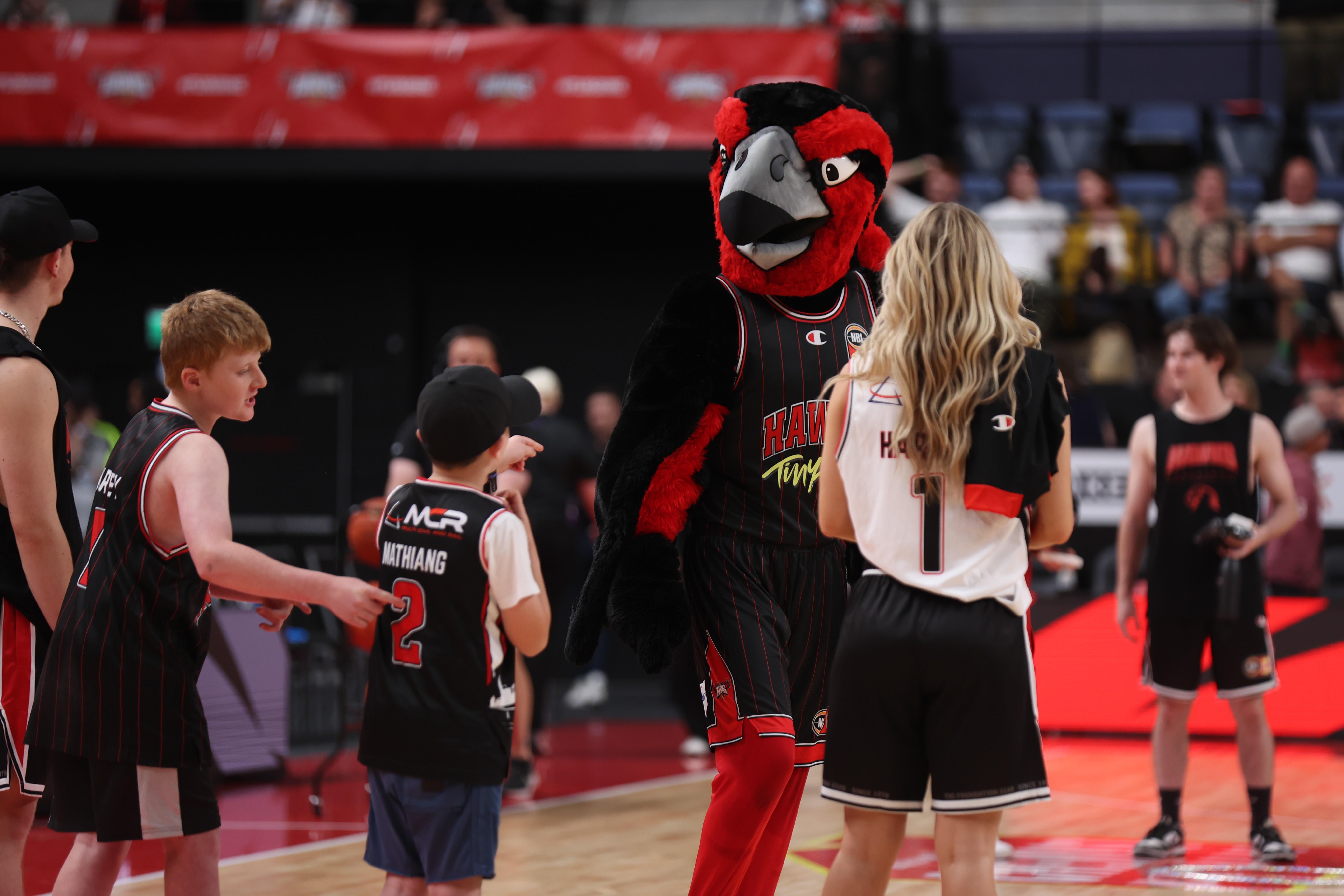 Gallery: Hawks vs Kings