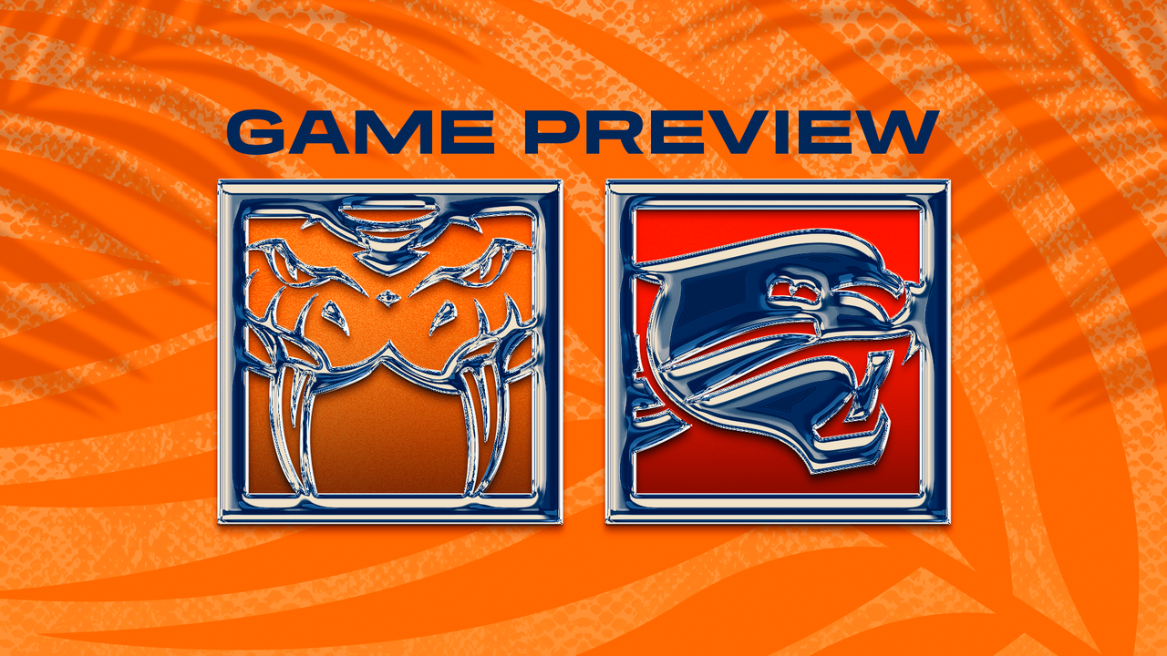 Game Preview: Taipans v Wildcats