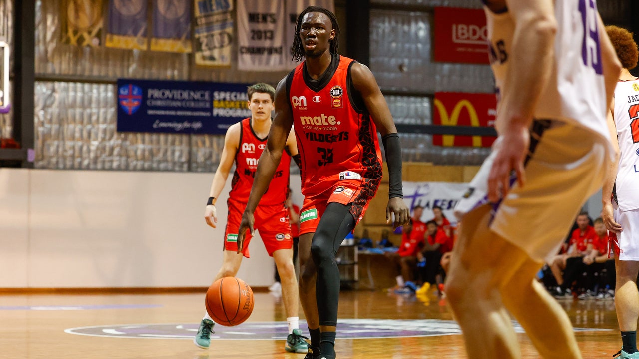 Young guns shine as Wildcats defeat NBL1 West Select