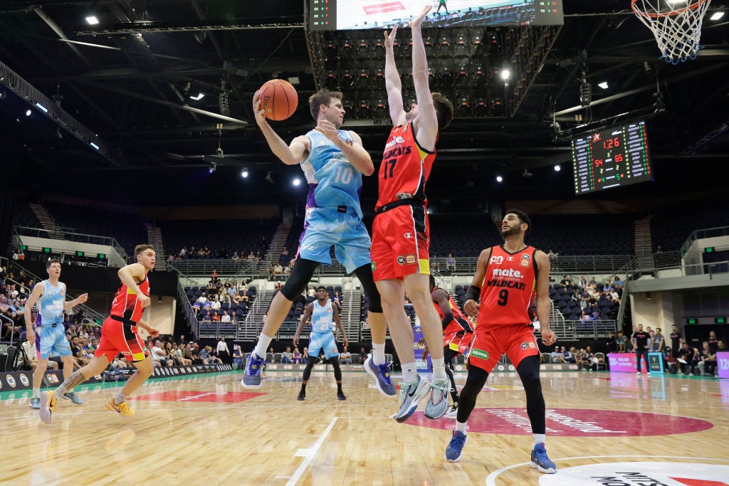 Blitz Provides Plenty to Ponder for Mody Maor