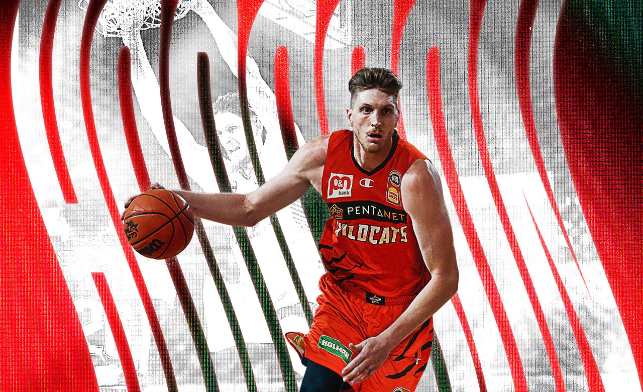 Wildcats finalise roster with big man Matt Hodgson
