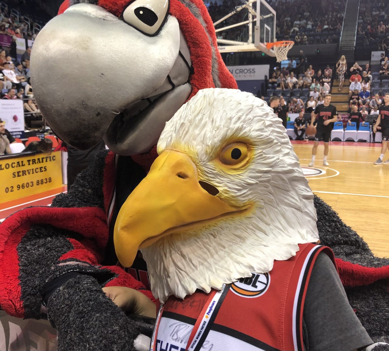 The Member Diaries: Sharon Behl-Shanks, the ultimate Hawkhead