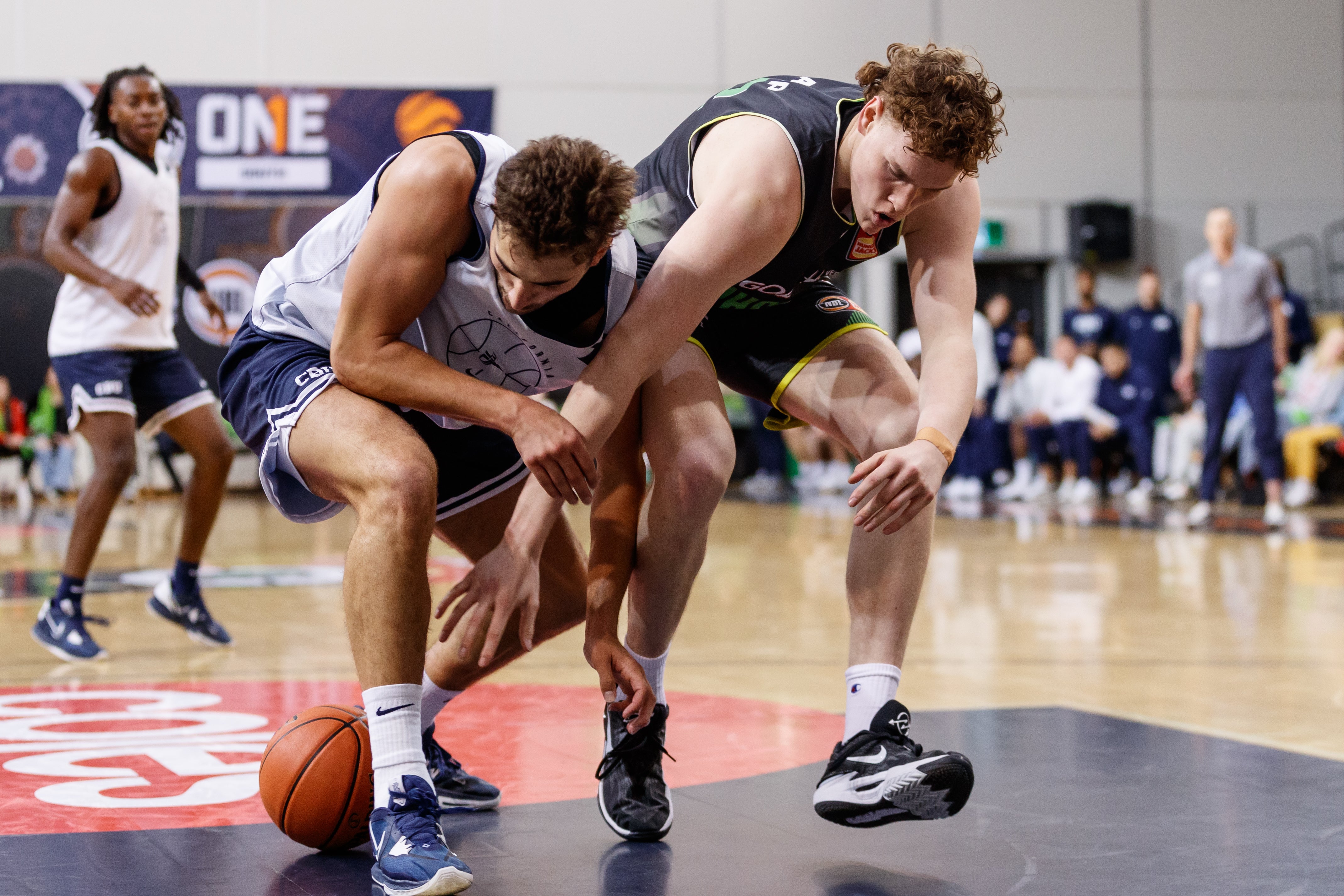 Rapp's Battle: The Phoenix DP Defying Expectations