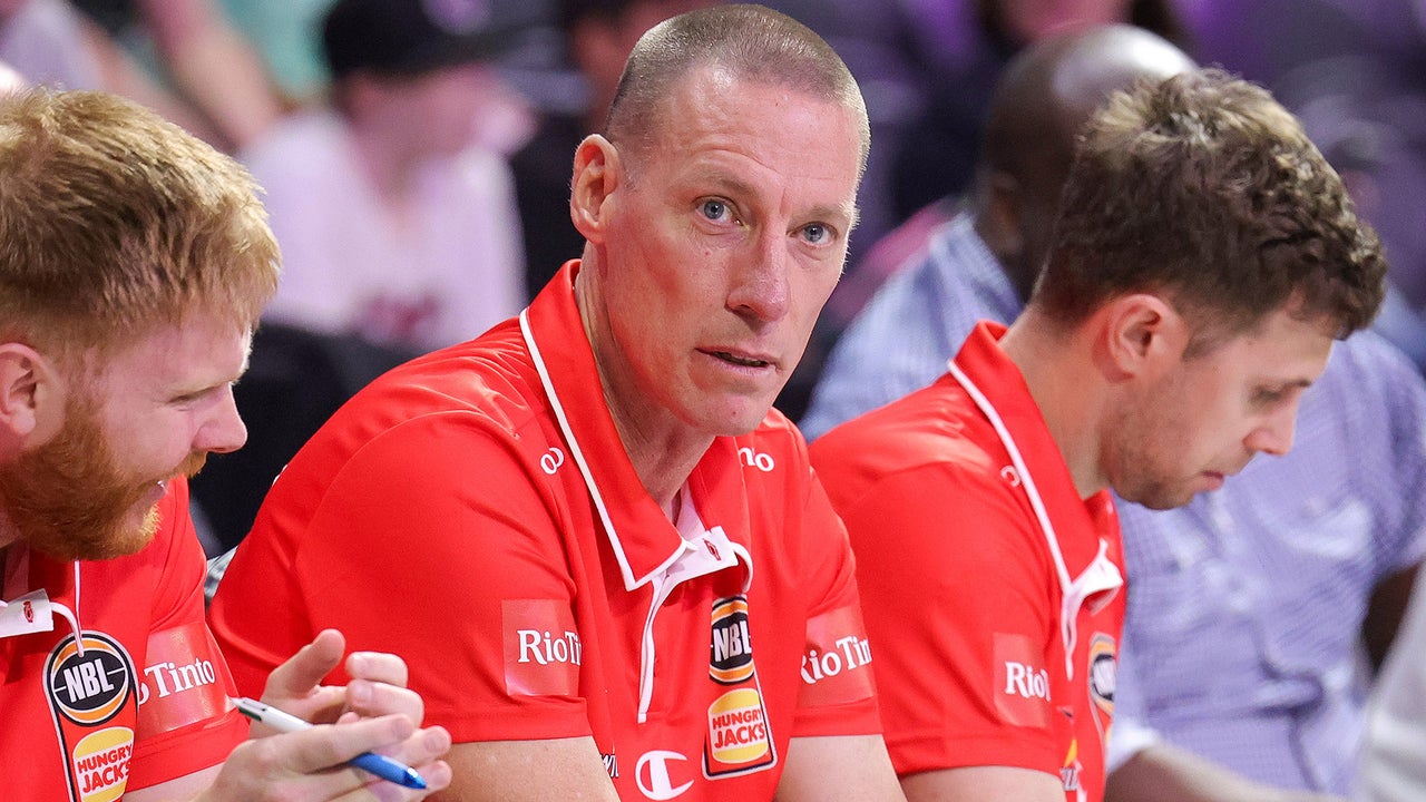 Wildcats import search admission